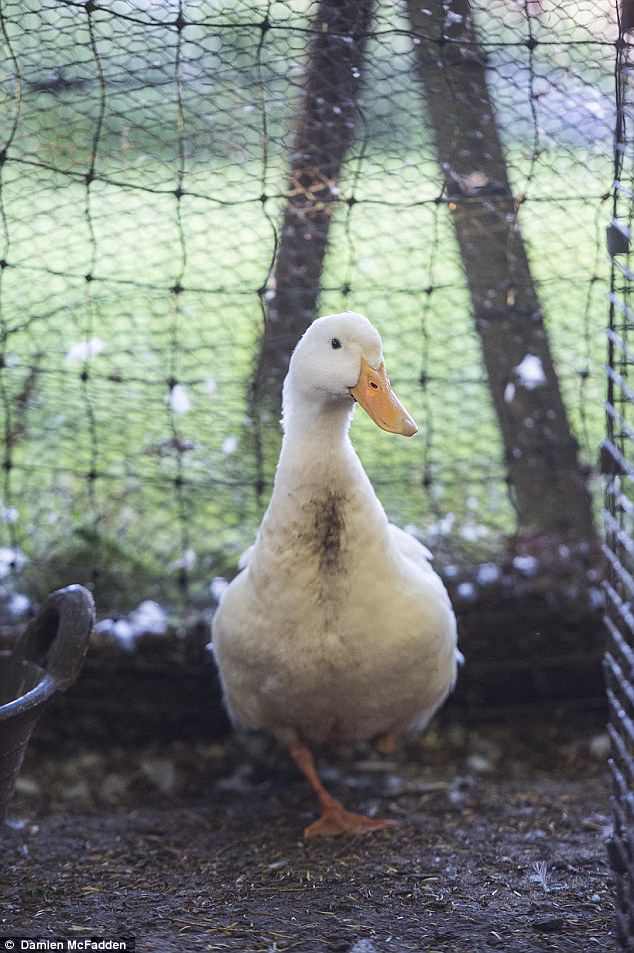 The Importance of Balance in Nature – naturetails