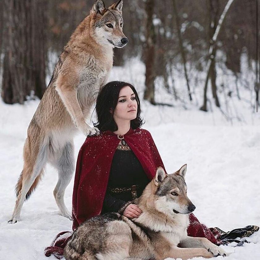 The Ancient Relations of Human and Wolf – naturetails