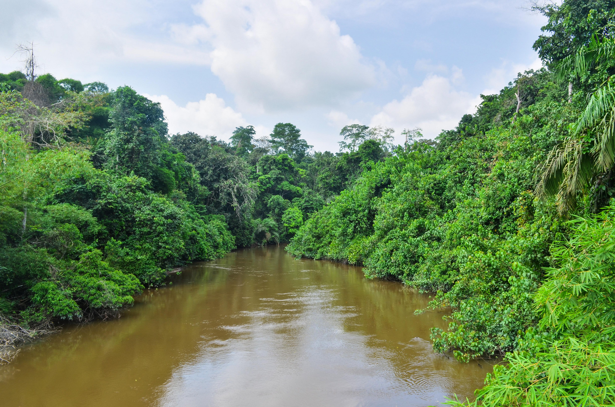 Congo River Wallpaper